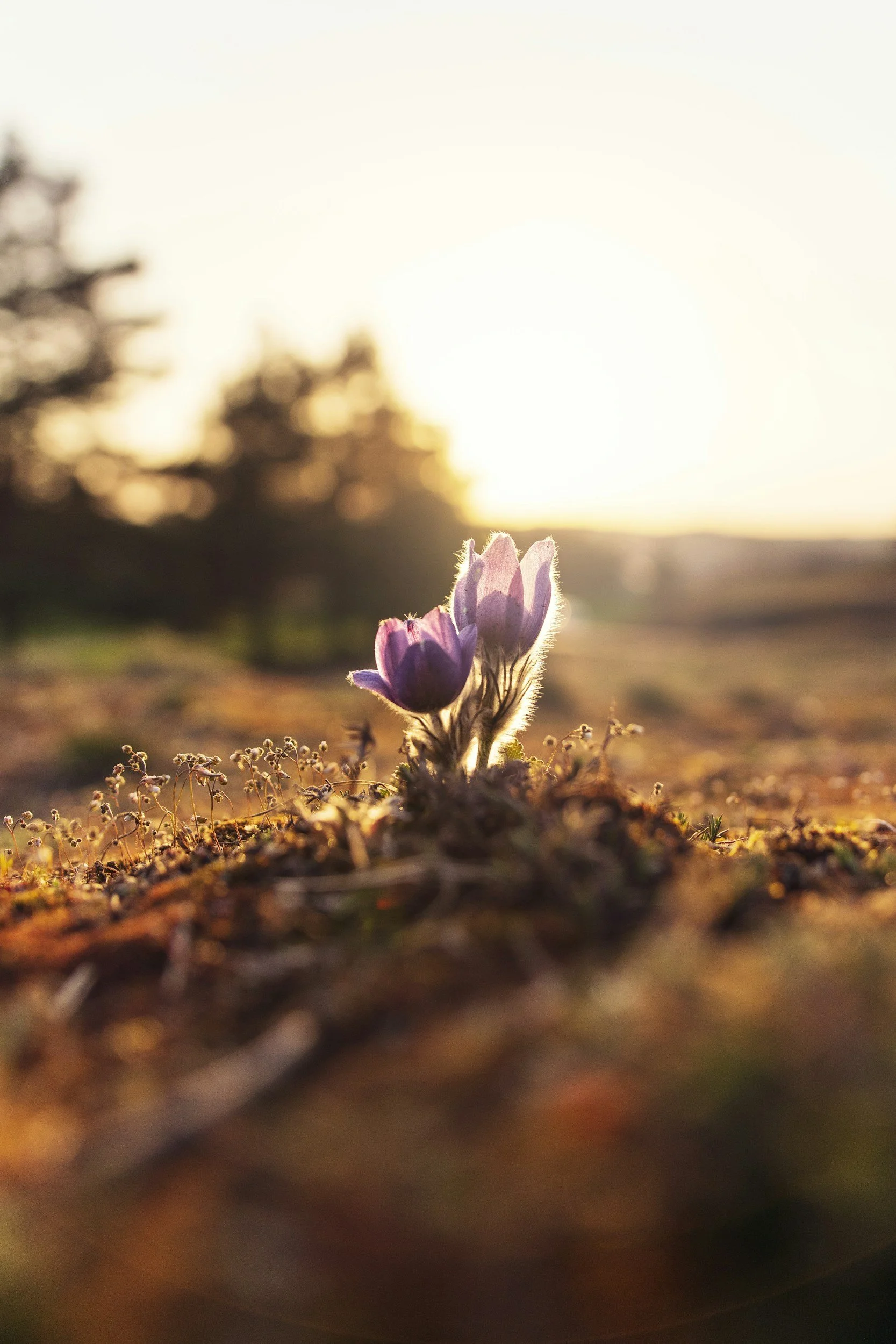 The four core competencies of a successful CEO - Henley