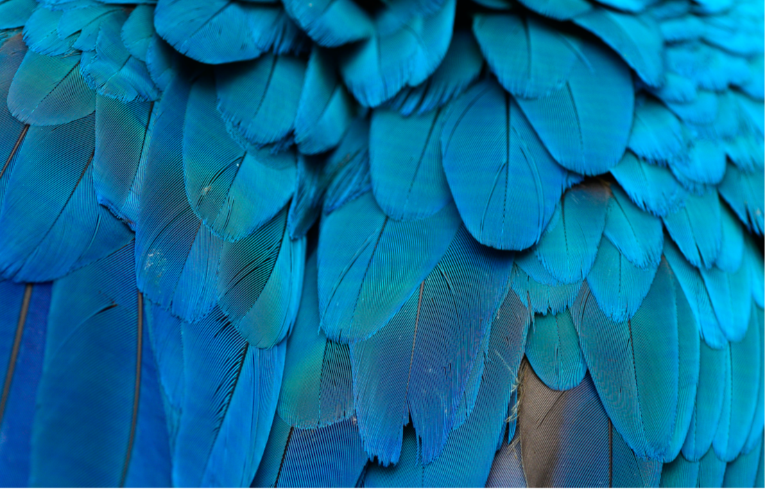 Success for first Henley coaching boot camp - Henley