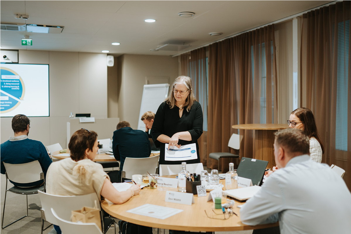 Finland’s First University-Level Team Coaching Programme - Henley